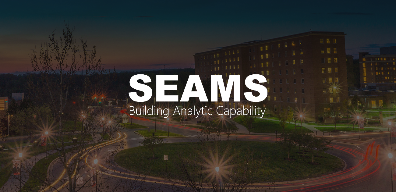 SEAMS: Website Development | Blacklight Software